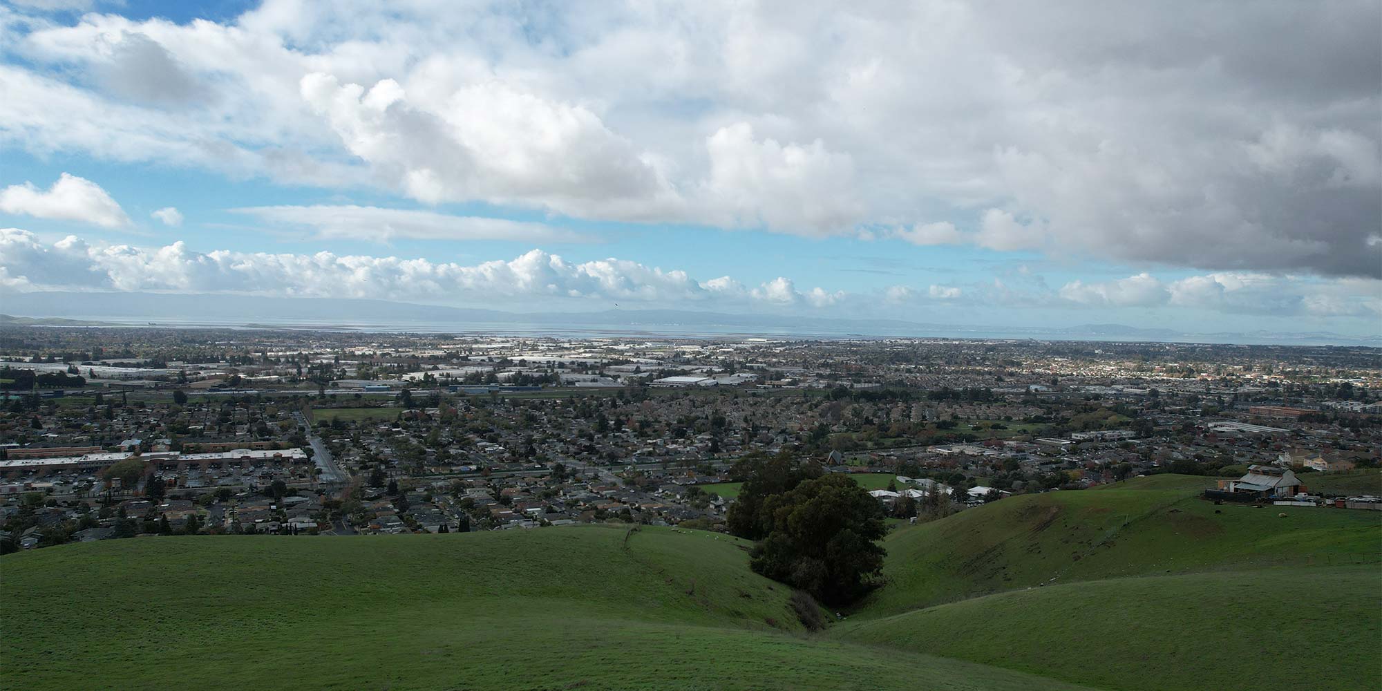 Pest Control Service Locations in California