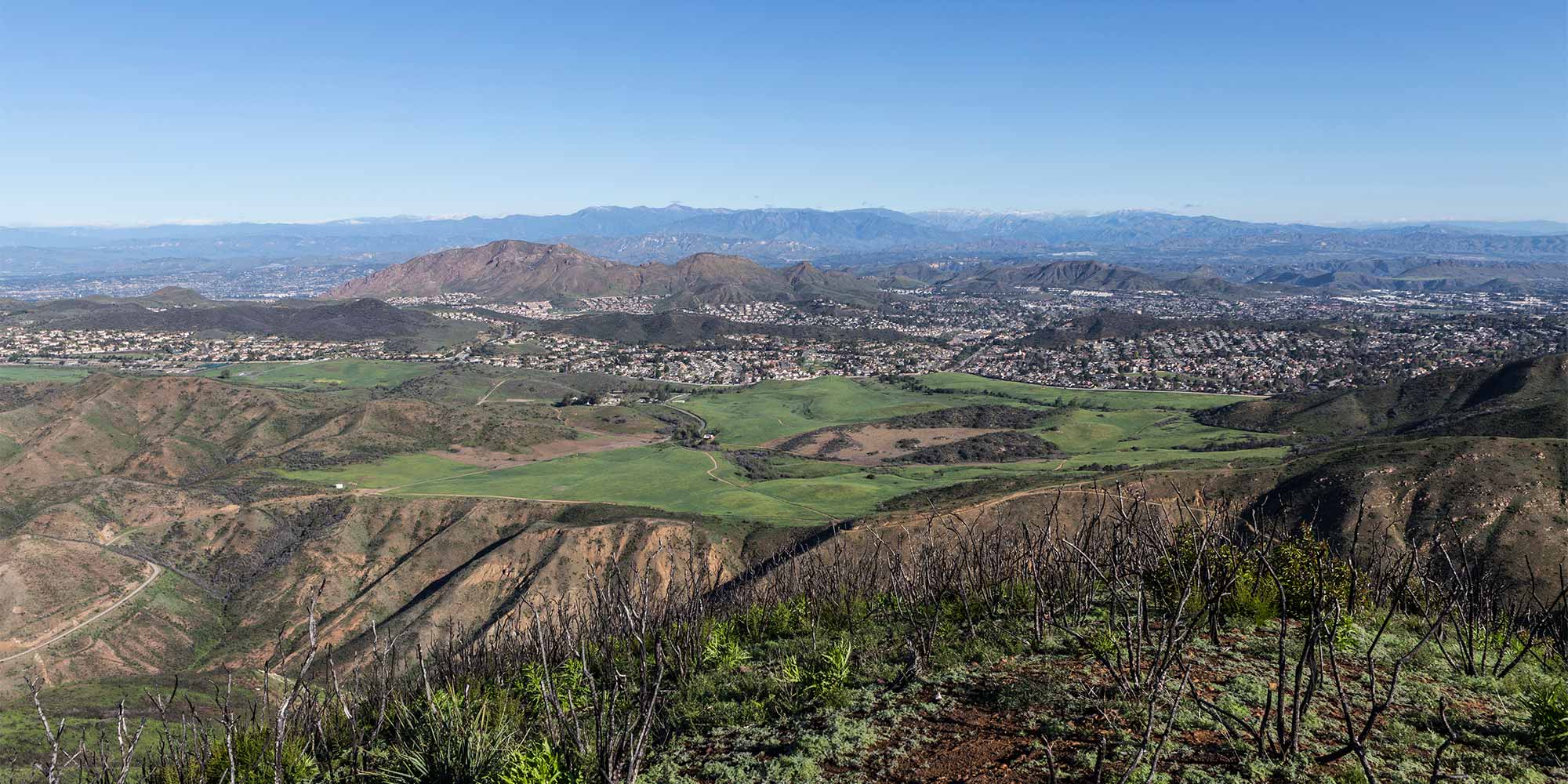 Pest Control Services & Exterminators in Santa Rosa, CA