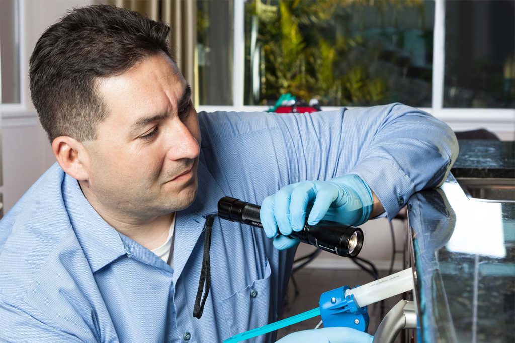 Pest Control Services & Exterminators in San Jose, CA