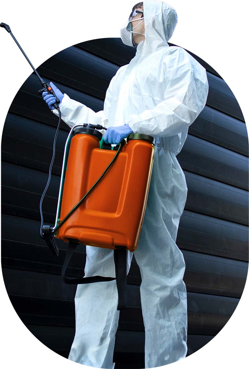 Crane Pest Control - Commercial Pest Control | San Francisco Bay Area