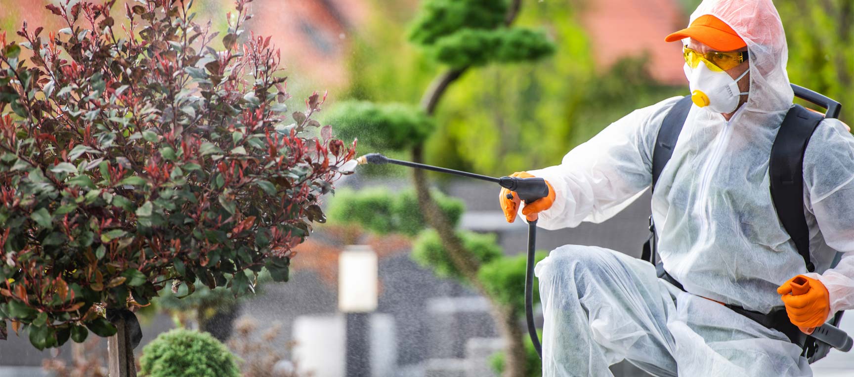 Integrated Pest Management (IPM)